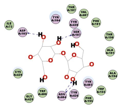 Molecular Docking Validation Results The Binding Modes And Binding