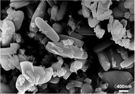 Sem Micrographs Of β Feooh Loaded On Al2o3 Ceramic Matrix Download Scientific Diagram