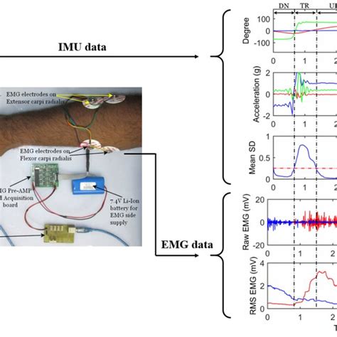 The Fusion Strategy Of Combining Kinematics Data Imu And Emg Data Download Scientific