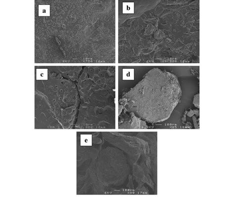 High Temperature Extrusion Treatment Results In Extensive Disruption Of Download Scientific