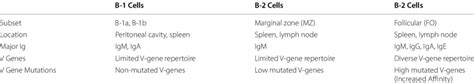 B Cell Subtypes And Characteristics Download Scientific Diagram