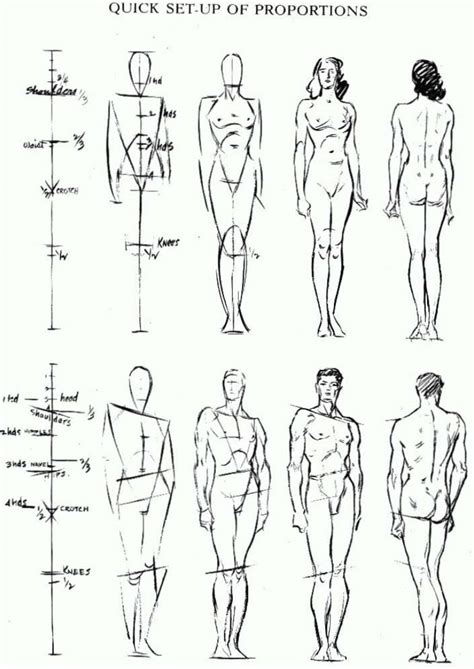 How To Draw A Human Body Male