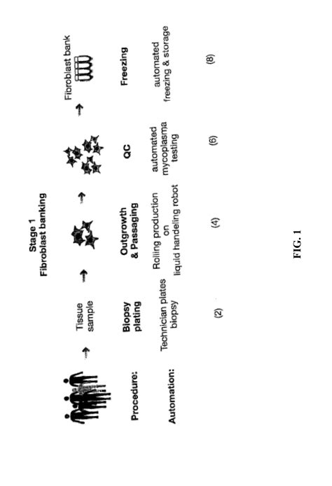 Automated System For Producing Induced Pluripotent Stem Cells Or Differentiated Cells Eureka