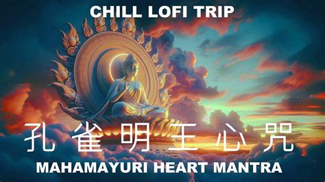 強力清除負面能量孔雀明王心咒 一小時 Mahamayuri Heart Mantra 1 HourChill Lofi Music