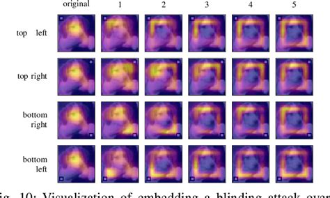 Figure From Backdooring Explainable Machine Learning Semantic Scholar