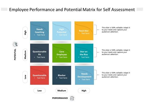 Employee Performance And Potential Matrix For Self Assessment