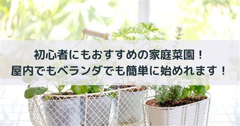 初心者にもおすすめの家庭菜園屋内でもベランダでも簡単に始められます