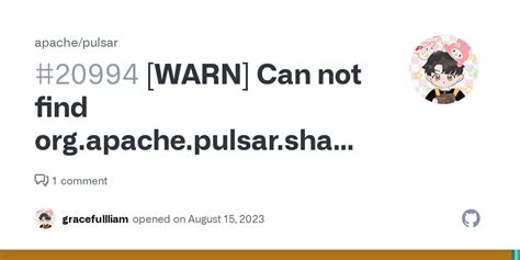 WARN Can Not Find Org Apache Pulsar Shade Io Netty Resolver Dns Macos