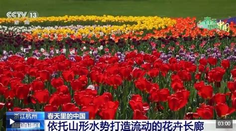 春花烂漫 万象耕新春天里的中国活力满满 时政要闻 中国台湾网