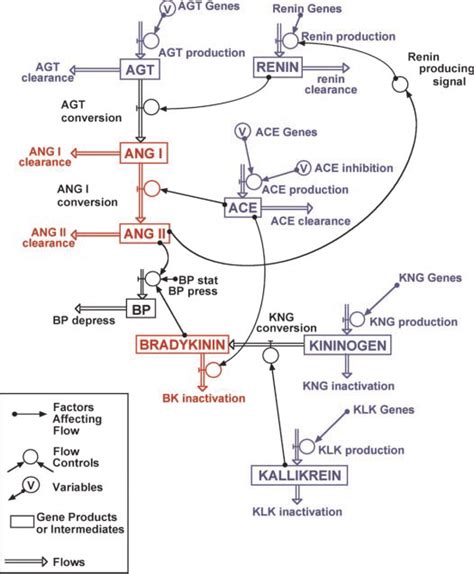 An Improved Computer Simulation Of BP This Simulation Models The Download Scientific Diagram