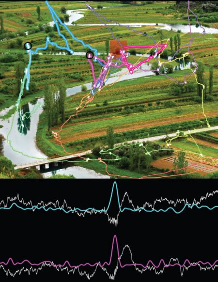Research Perception Plasticity Learning Lab