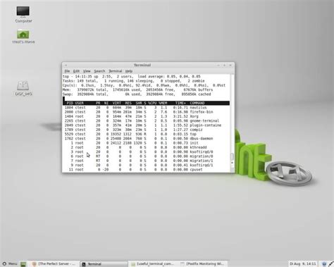 Useful Basic Terminal Commands On Linux Mint 11
