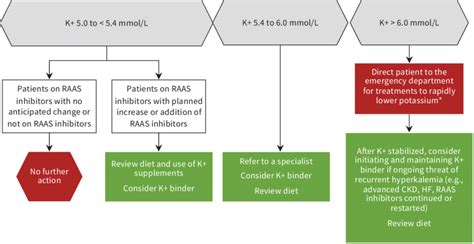 Strategies To Mitigate The Risk Of Hyperkalemia And Enable More Optimal Download Scientific