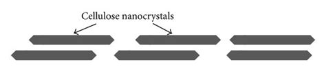 Schematics Of A Single Cellulose Chain Repeat Unit Showing The Download Scientific Diagram