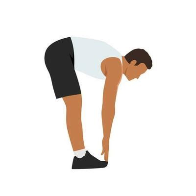 Hamstring Stretch Vector Art Icons And Graphics For Free Download