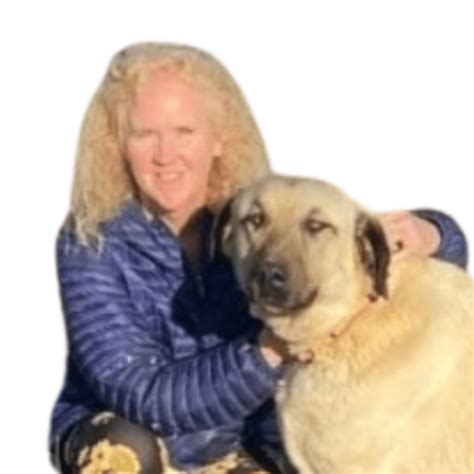 Treeing Walker Coonhound Breed Traits Characteristics More Canine Journal