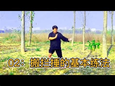 02搬拦捶的基本练法陈式太极拳新架二路第二部分从搬拦捶到白蛇吐信从柔劲过度到刚劲的训练 YouTube