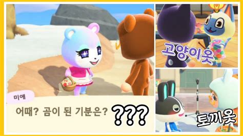 모동숲 곰 옷을 본 곰주민 반응은 고양이 옷을 본 고양이주민 반응은 저세상 모동숲 실험실 2화 Youtube