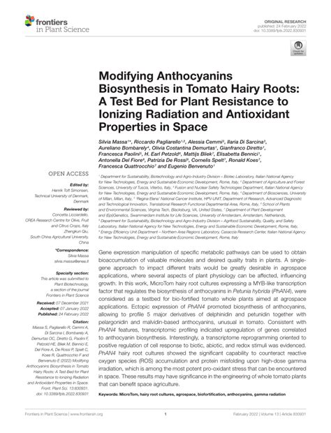 Pdf Modifying Anthocyanins Biosynthesis In Tomato Hairy Roots A Test