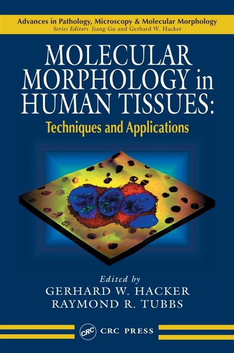 Molecular Morphology In Human Tissues Techniques And Applications Ebook Alletext