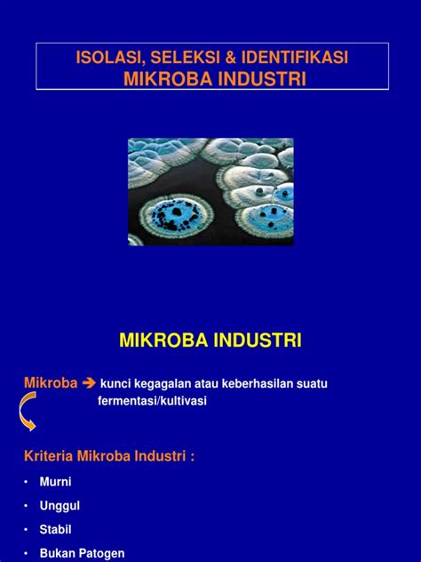 Bahan Ajar 3 Isolasi Seleksi Dan Identifikasi Mikroba Pdf