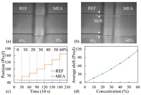 Biosensors Free Full Text Handheld Biosensor System Based On A Gradient Grating Period
