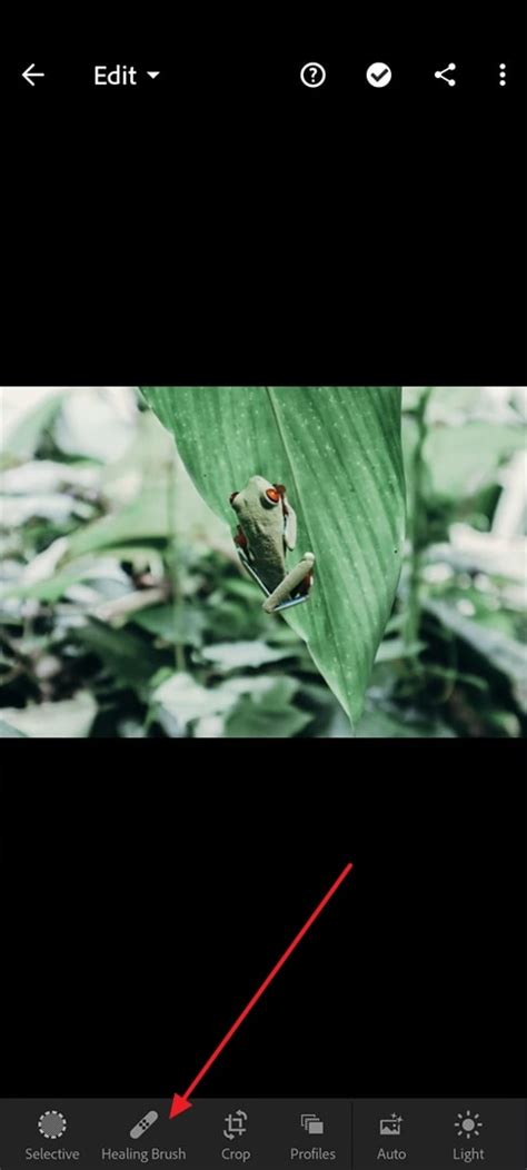 Sloved How To Easily Remove Objects In Lightroom