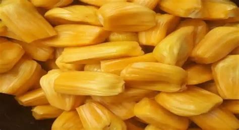 Bus Driver Fails Breath Test But Not Because Of Alcohol Samikshamedia