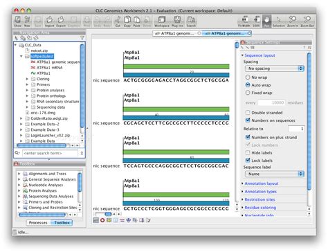Clc Genomics Workbench 361 ~ Free Full Version Software