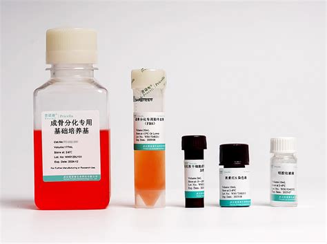 MC3T3 E1 Subclone 14 成骨诱导分化培养基 武汉普诺赛生命科技有限公司 您身边的细胞专家官方网站