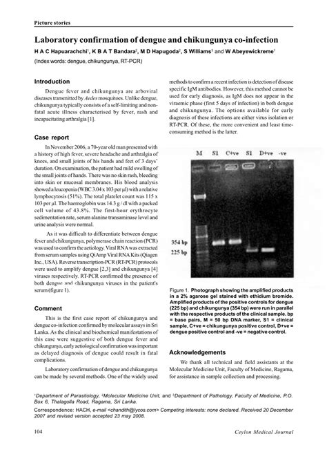 Pdf Laboratory Confirmation Of Dengue And Chikungunya Co Infection