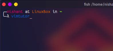 Vim Editor In Linux Geeksforgeeks