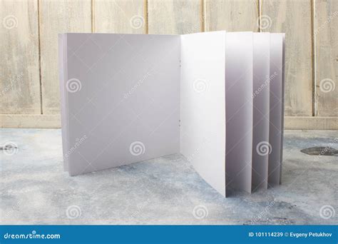 Empty Directory Magazines A Book Layout On The Background Of A Tree