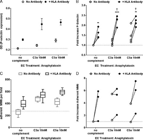 Hla Antibodies And Complement Anaphylatoxins Additively Increase