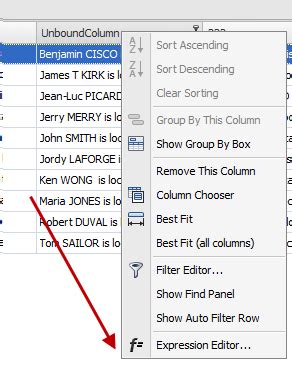 EXpandFrameWork Supporting Unbound Columns