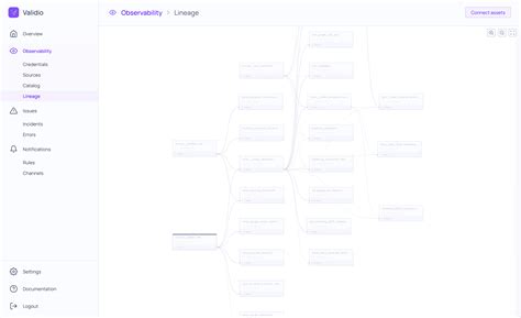 About The Lineage Graph
