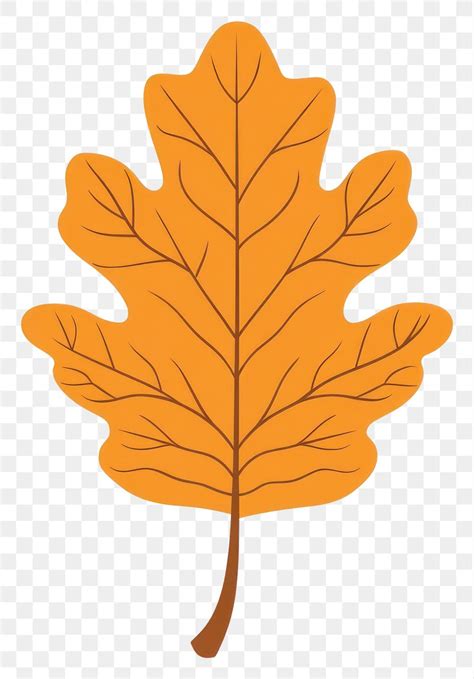 Png Autumn Reniform Leaf Illustration Free Png Rawpixel
