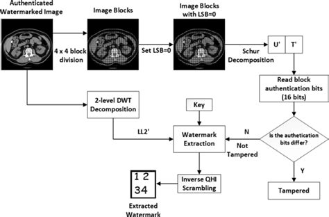 Tamper Detection Watermark Extraction Architecture Download