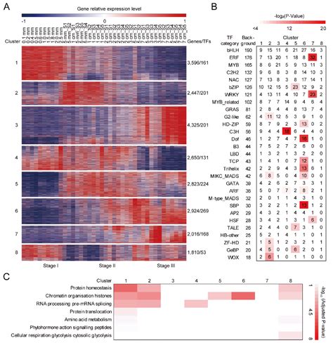 中国农业大学农学院 新闻动态 The Plant Journal 中国农业大学宋伟彬 赵海铭团队发布玉米雌穗发育动态转录组图谱