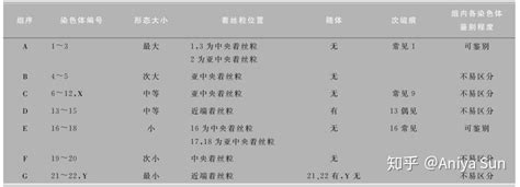 如何读懂染色体显带及命名？ 知乎