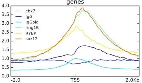 Memo Chip Seq Pipeline Md At Master · Ming Lian Memo · Github