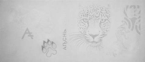 10 Apsars Abkhazia Numista