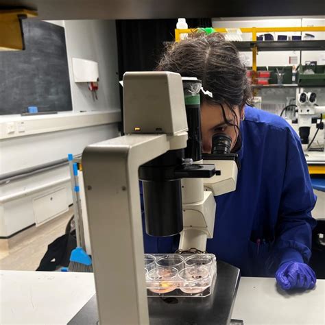 Epilepsy Research Institute Radically Advancing Research Into Epilepsy