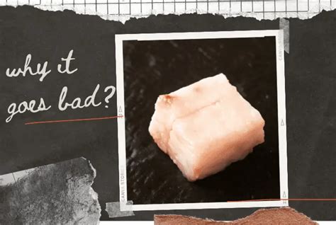 Does Beef Tallow Go Bad All You Need To Know