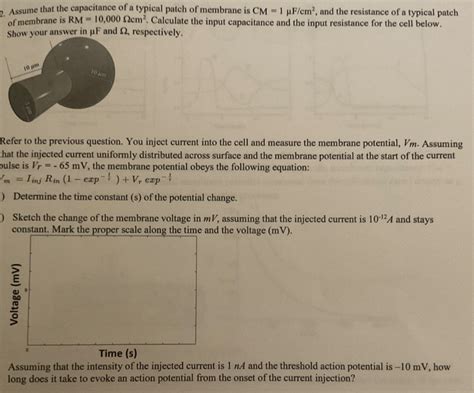 Solved 2 Assume That The Capacitance Of A Typical Patch Of