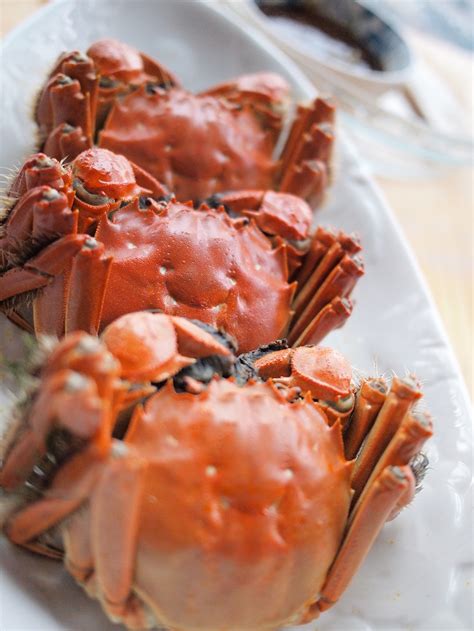 Shanghai Hairy Crabs 7 Best Hairy Crab Feasts This Season Uavnb