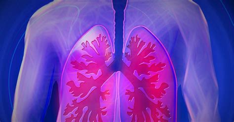 Respiratory System Indianapolis Public Library