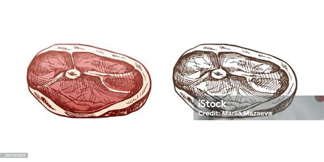 손으로 그린 컬러 및 단색 스케치 고기 돼지 고기 또는 쇠고기 스테이크 고기 절단 고기 컷 벡터 일러스트 레이 션 빈티지 일러스트입니다 메뉴 장식 새겨진 이미지 양고기에