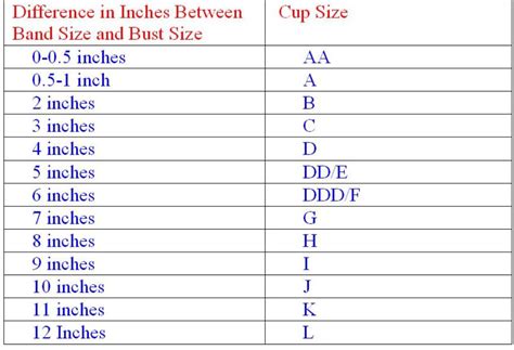 Bra Sizes Diagram