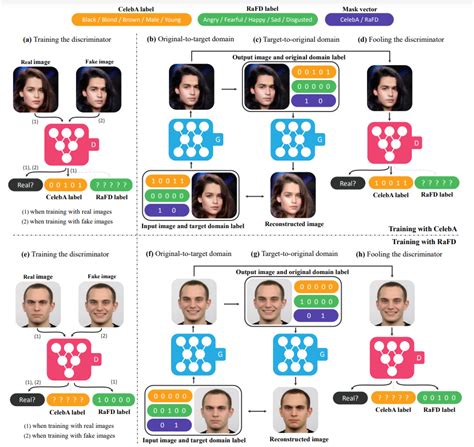 논문 리뷰 Stargan Unified Generative Adversarial Networks For Multi Domain Image To Image